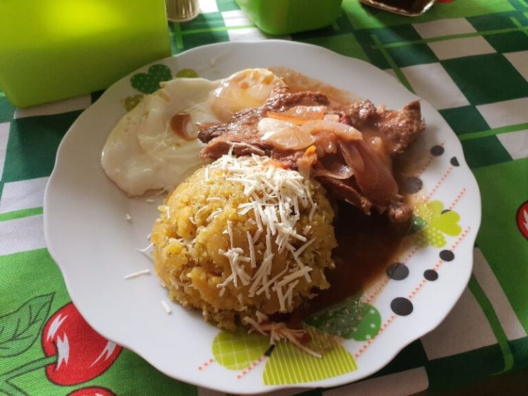 Trinidad: Qué hacer en el Beni, Ruta del Bufeo y Gastronomía | Bolivia